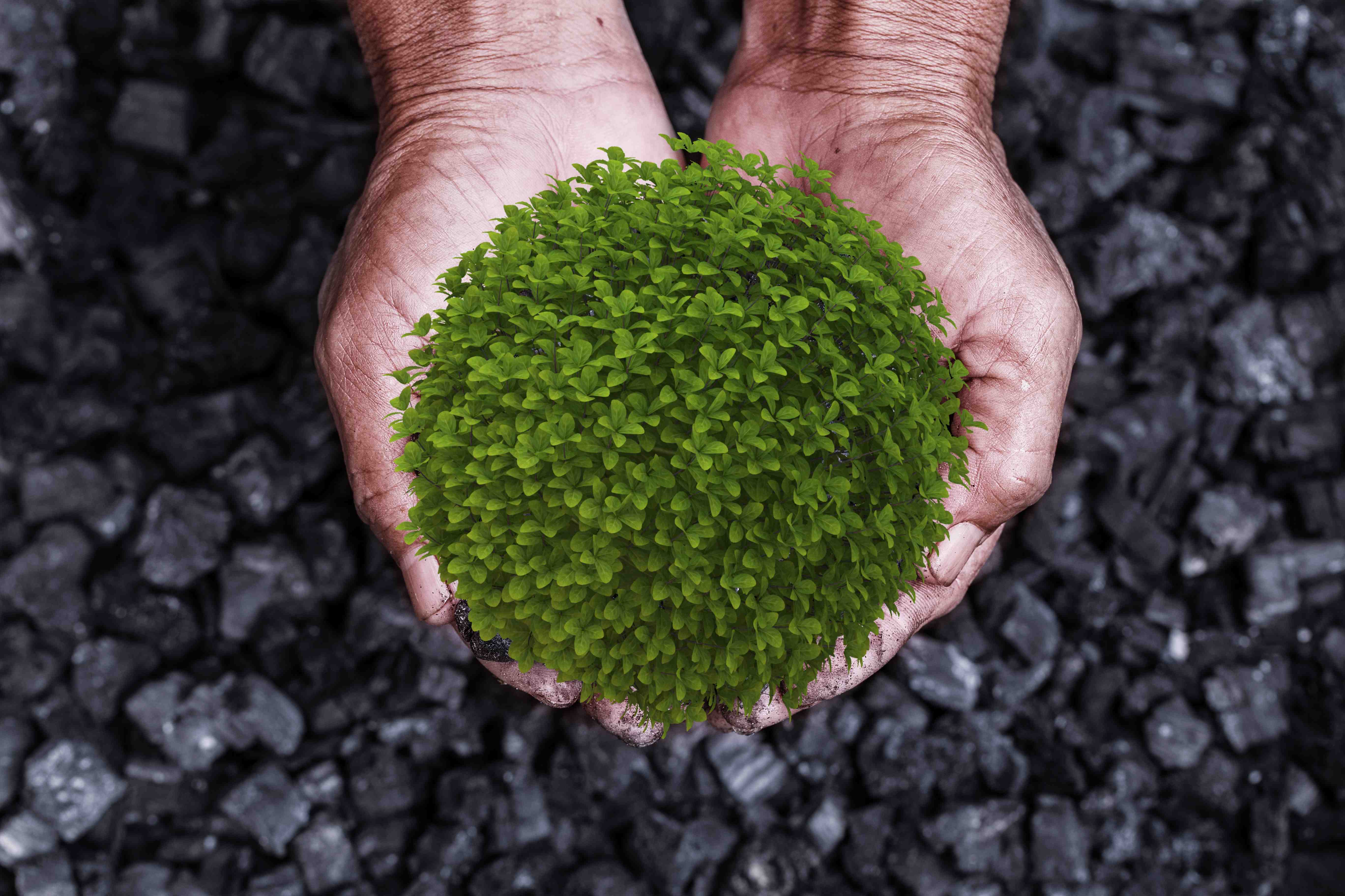 Ekobon - Sustainable Solutions Simplified